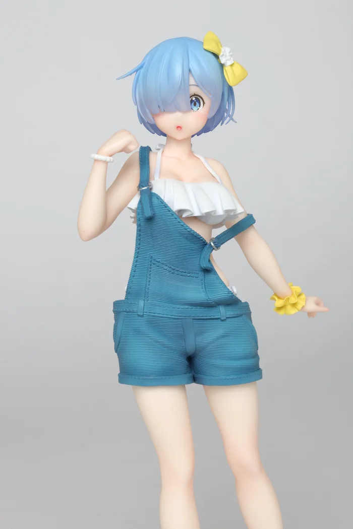 Re:Zero -Starting Life in Another World- Rem: Overalls Ver. Non-Scale ...