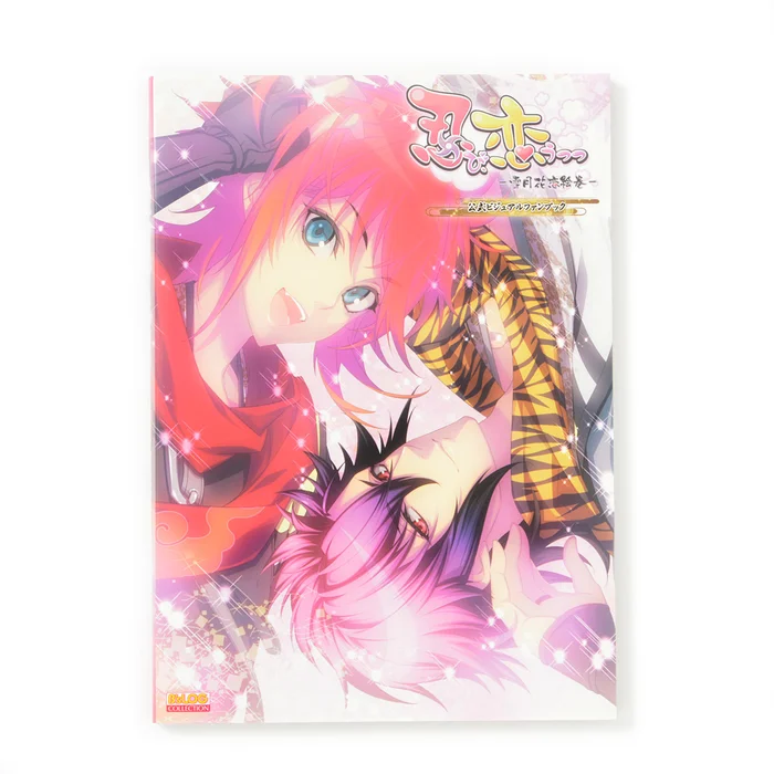 Shinobi, Koi Utsutsu: Setsugekka Koi Emaki Official Visual Fan Book ...